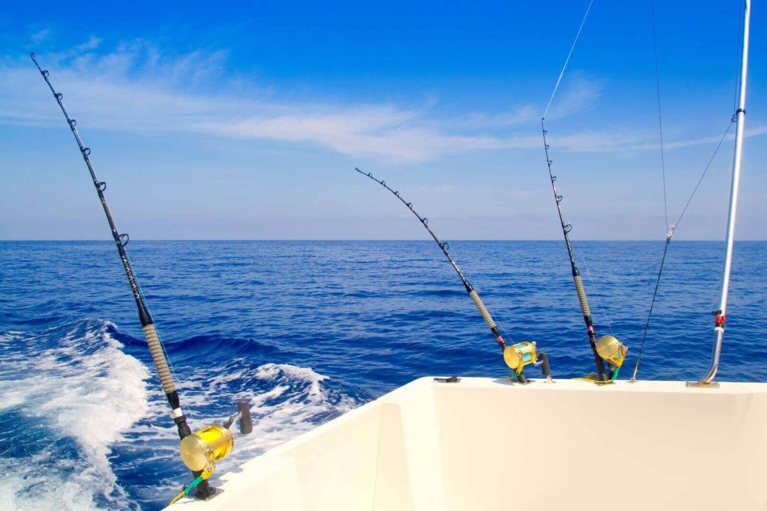 Fishing Adventures in the Andaman: Cast Your Line in Pristine Waters ...