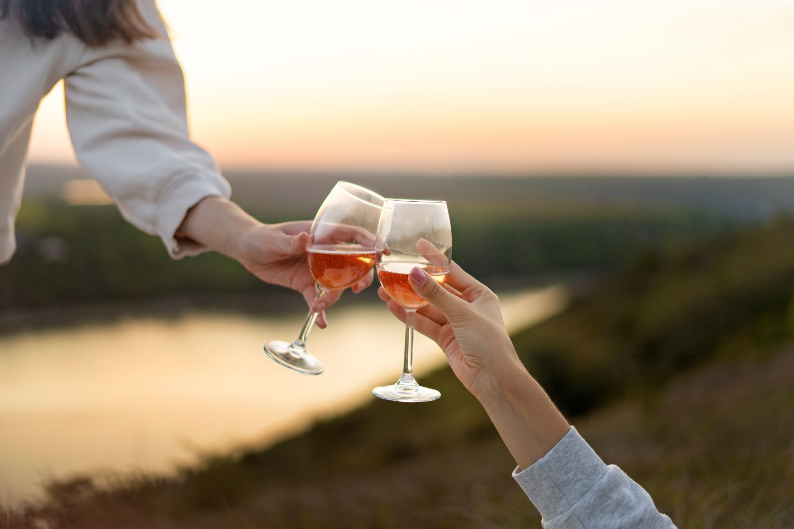 Wine & Beer Tasting in Phuket: Discover Thailand’s Craft Brews and ...